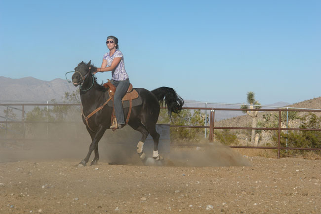 PHOTO GALLERY – Rocking H Ranch